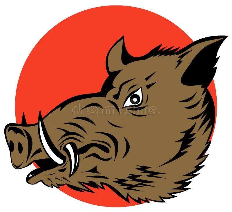 Pig or Wild Boar Crashing through Fence Vector Cartoon Stock Vector ...