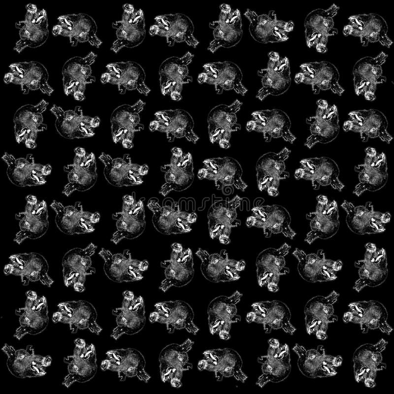 Wild Pig Head Graphic Motif Pattern Stock Illustration - Illustration ...
