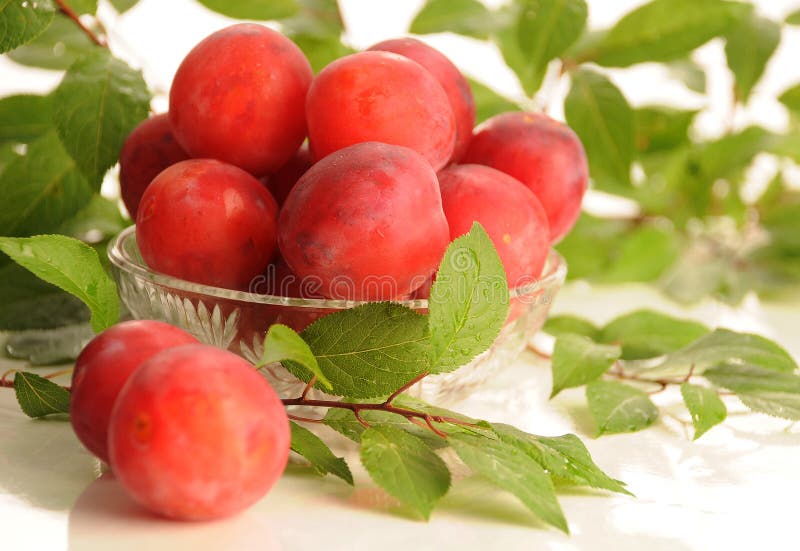 Wild plums stock image. Image of tasty, food, plant, ripe - 44233133