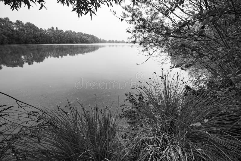 Wild Pond Surrounded By Black And White Forests Stock Image - Image of ...