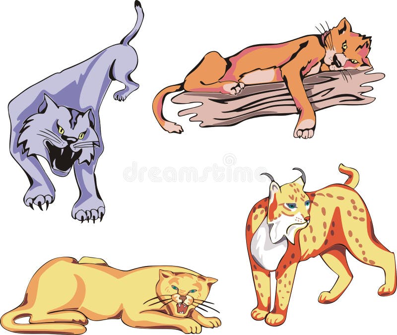 Wild Predator Cats Set stock vector. Illustration of leopard - 70733103