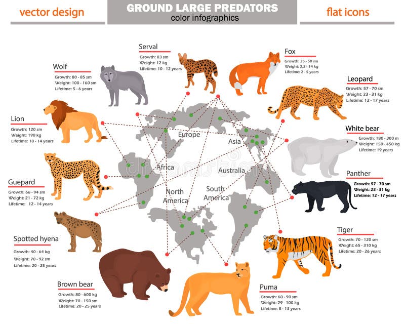 Wild Predators Stock Illustrations – 1,214 Wild Predators Stock ...