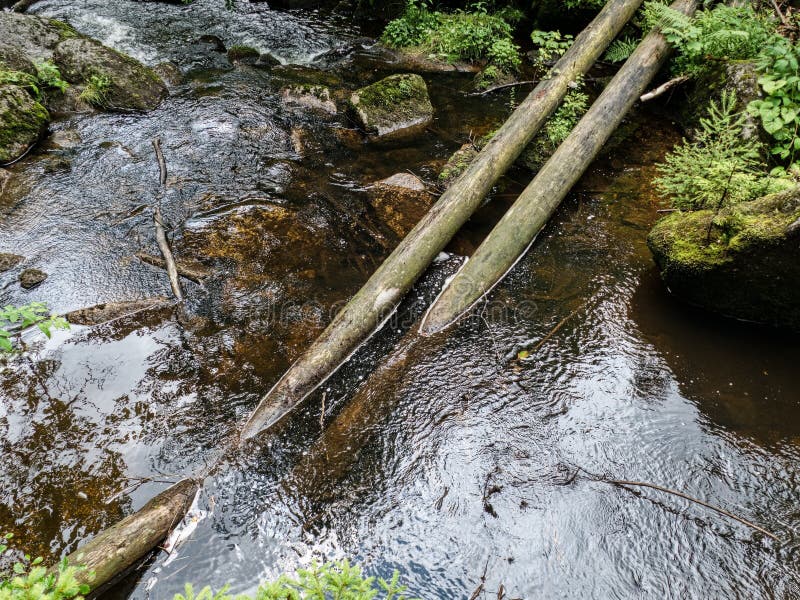 Wild Pure Water River in the Foerst Stock Image - Image of rock ...