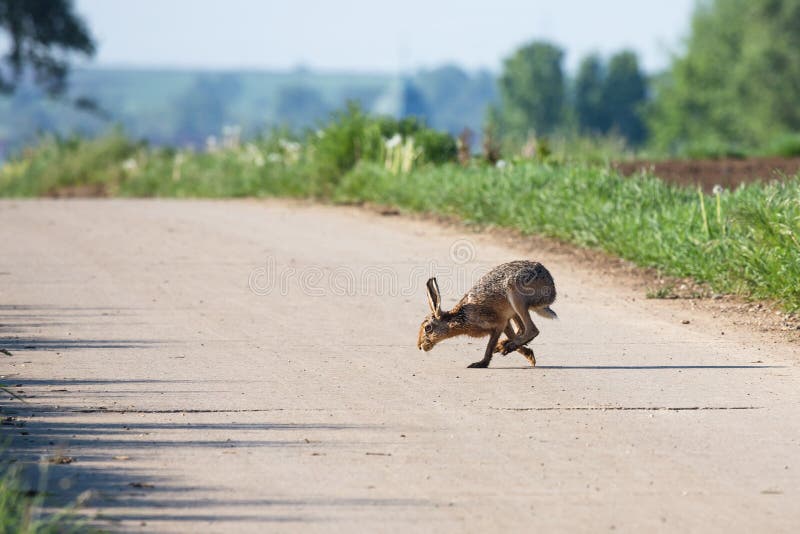 Angry at the Man stock photo. Image of face, irritation - 1378620