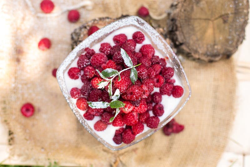 Wild Raspberry from Siberia Stock Image - Image of wild, vitamin: 129189917