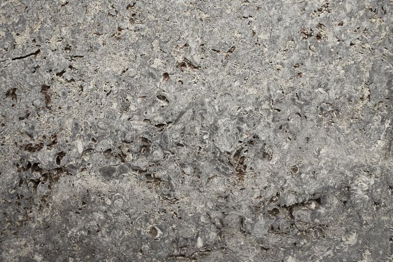 Wild Raw Marble Stone with Holes Texture. Multi-colored Stock Photo ...