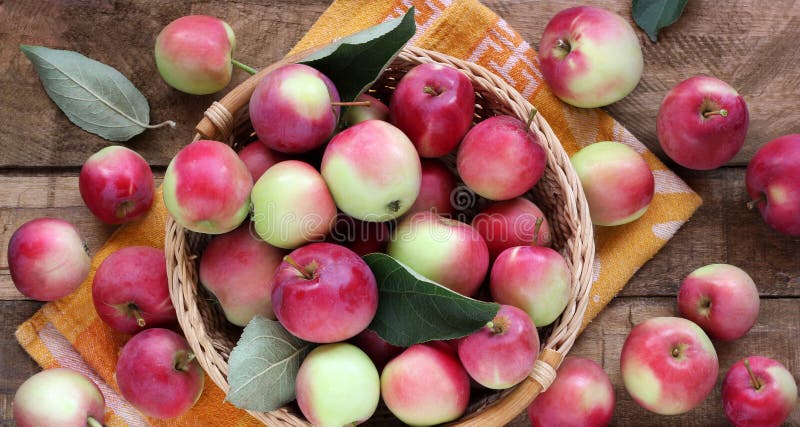 Wild Red Apples in a Basket on a Rough Table, Top View Stock Photo ...