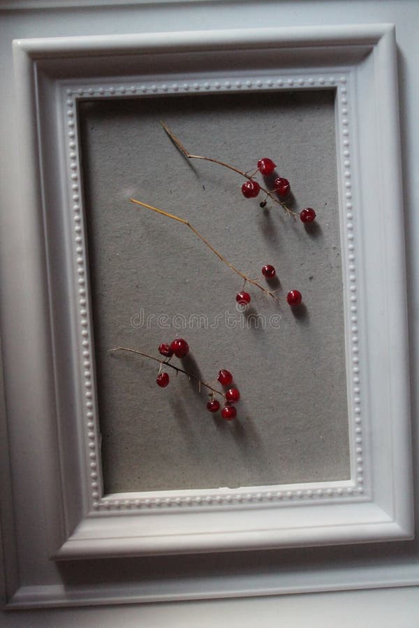 Berry in frame stock image. Image of beautiful, hobby - 159371191