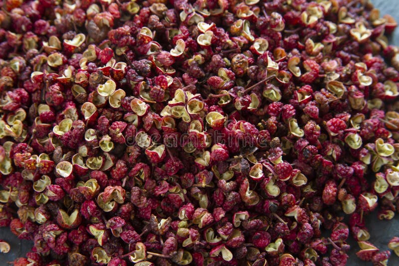 Wild Red Pepper Corn Close Up. Stock Image - Image of mushroom, small ...