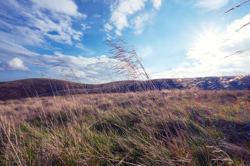 Wild Remote English Countryside Stock Photo - Image of season ...