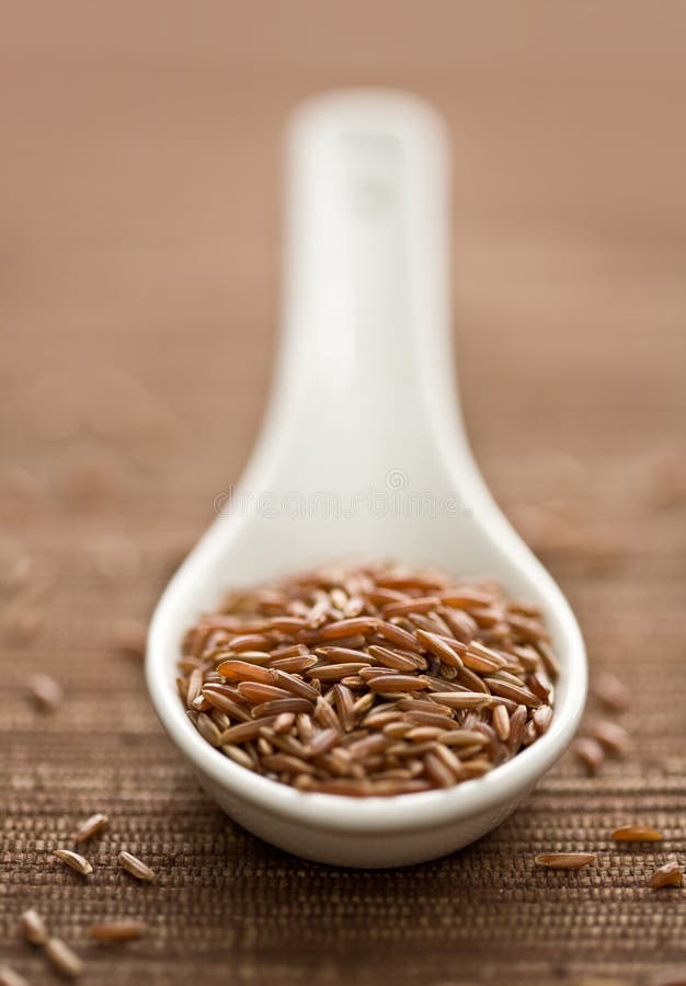 Wild rice stock photo. Image of delicious, spicy, gourmet - 12794032