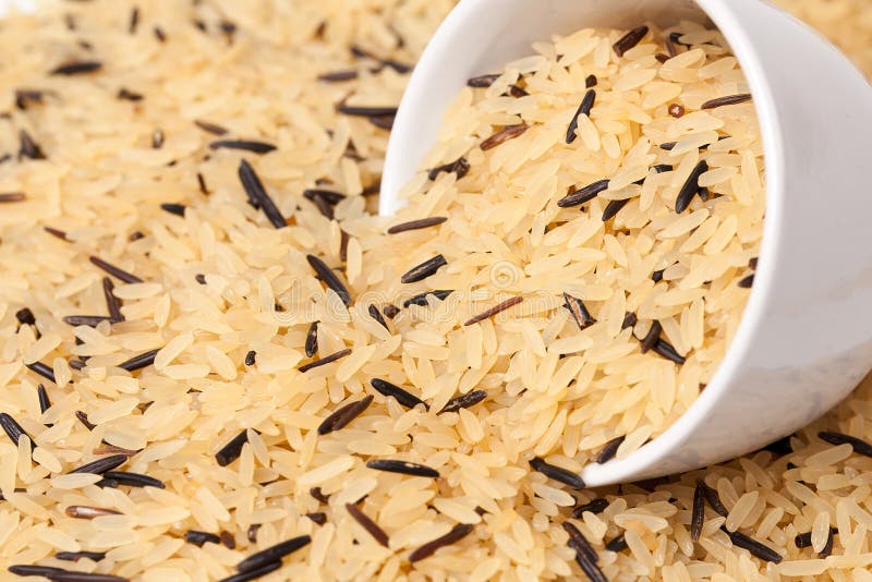 Wild rice stock photo. Image of fiber, healthy, ingredient - 14379154