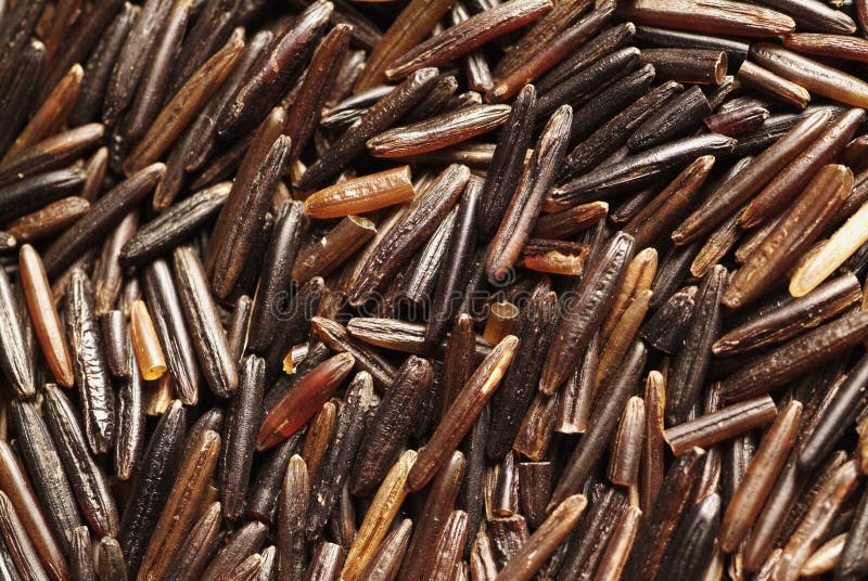 The Wild Rice stock image. Image of material, colour - 10953371