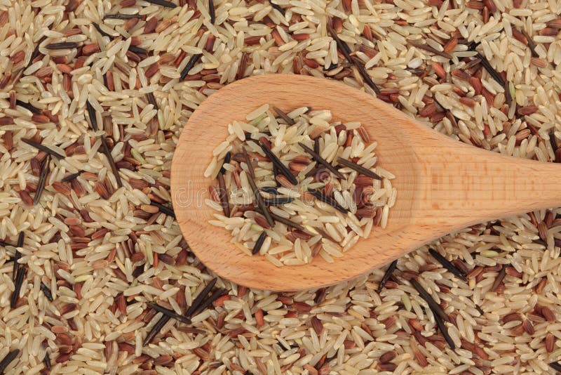Wild Rice stock image. Image of indian, burlap, wholegrain - 22720135