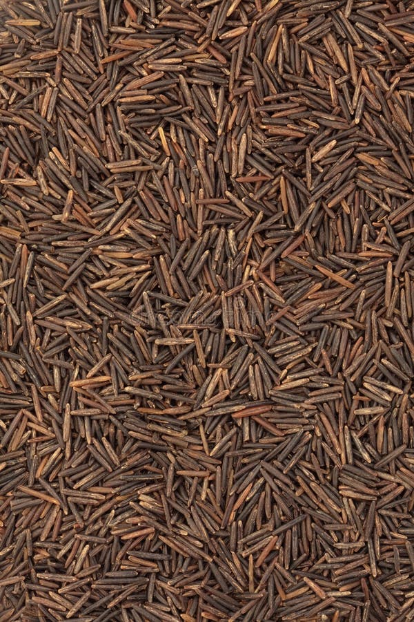 Wild Rice stock photo. Image of wholegrain, brown, background - 19030014