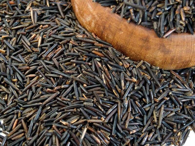 Wild rice stock photo. Image of dietary, white, fiber - 7160874