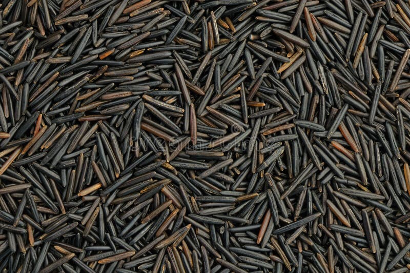 The Wild Rice stock image. Image of material, colour - 10953371