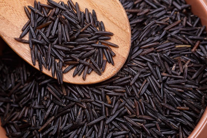 Wild rice stock image. Image of dark, studio, vegetarian - 48303757