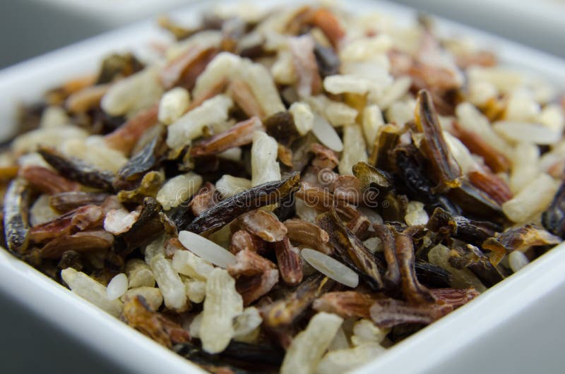 Wild Rice Close Up stock image. Image of kitchen, nutrition - 51164689