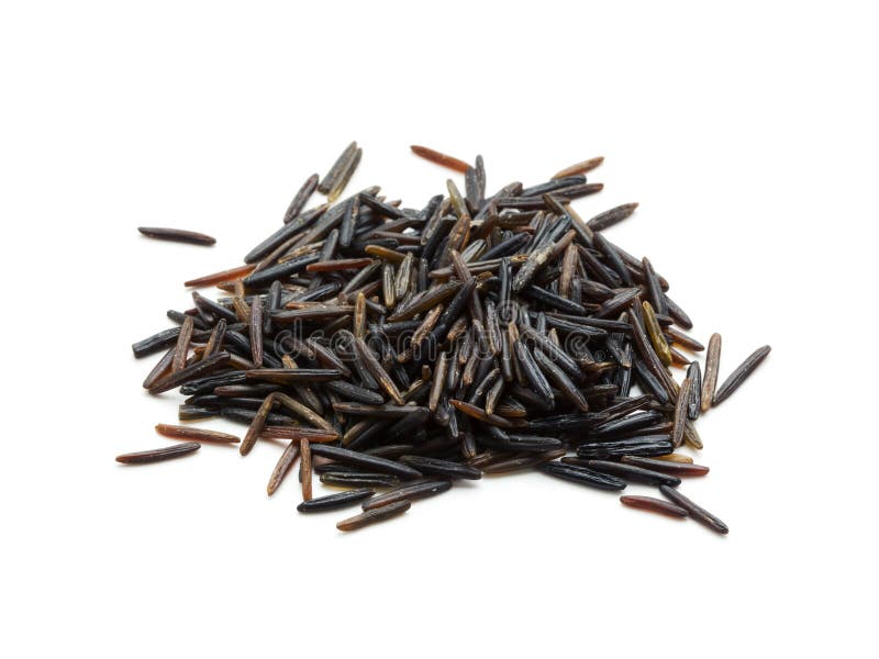 Wild rice isolated stock image. Image of rice, ingredient - 21146889