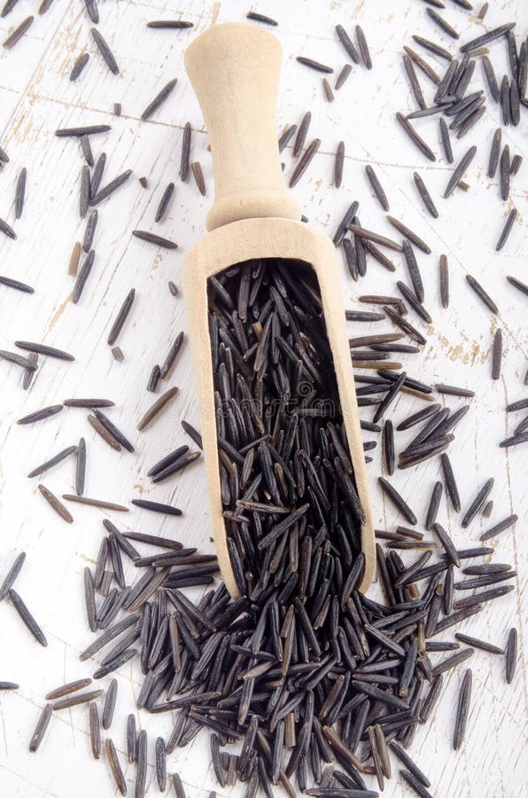 Wild rice on wooden shovel stock image. Image of rice - 39599361