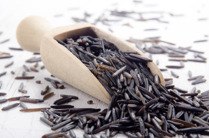 Wild rice on wooden shovel stock image. Image of organic - 39599419
