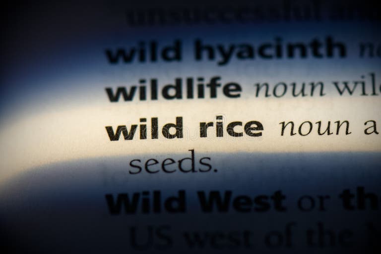 Wild rice stock photo. Image of dictionary, etymology - 161578756