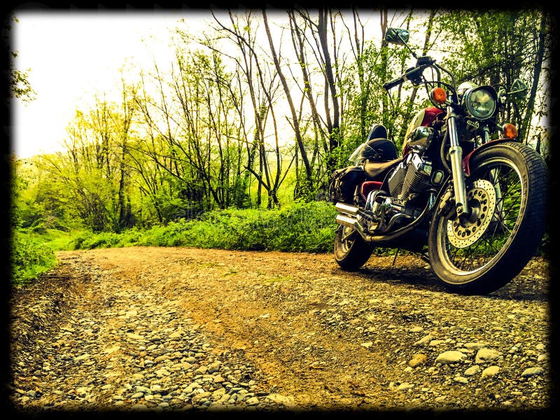 Wild ride editorial stock photo. Image of wild, nature - 78338263