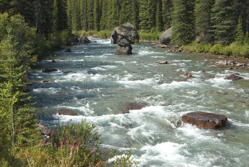 Wild river stock photo. Image of stone, trouts, river - 23936258