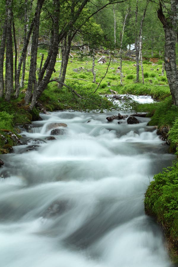 Wild river stock image. Image of countries, beauty, forest - 27147543