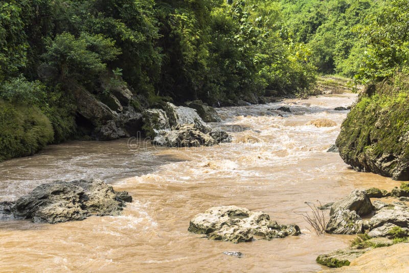 Wild River on Java, Indonesia Stock Photo - Image of alone, foliage ...