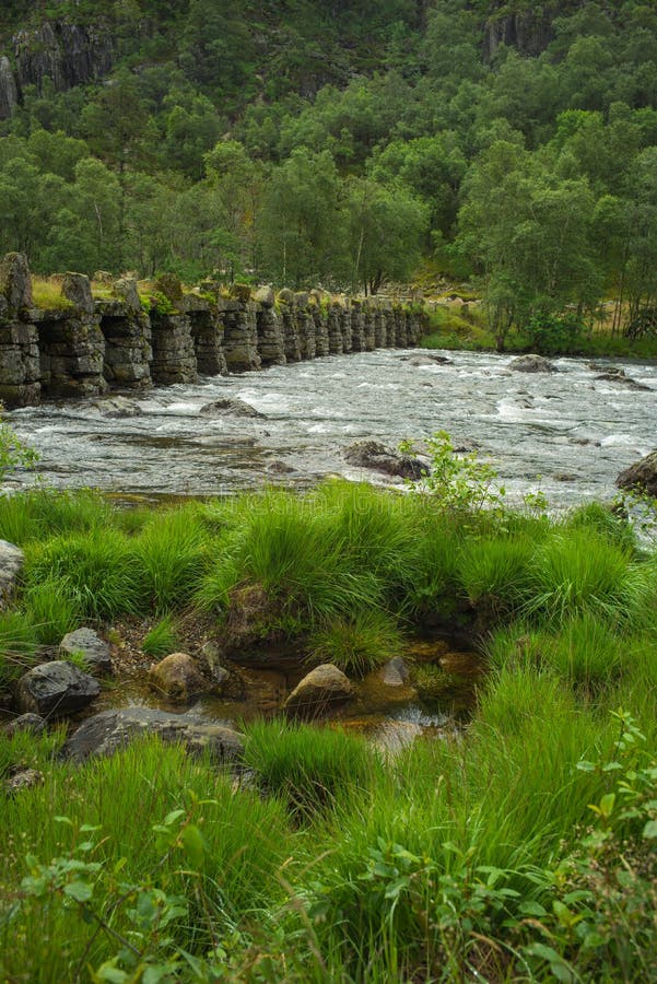 Wild River in National Park Stock Image - Image of park, trees: 83959575