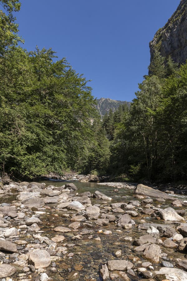 River in the Pyrenees a Sunny Summer Day Stock Image - Image of ...