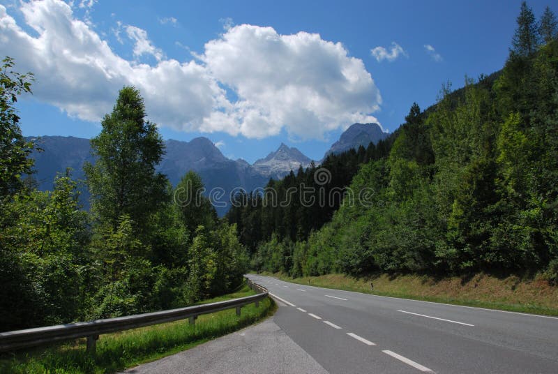 Wild road stock photo. Image of green, cold, natural - 16032398