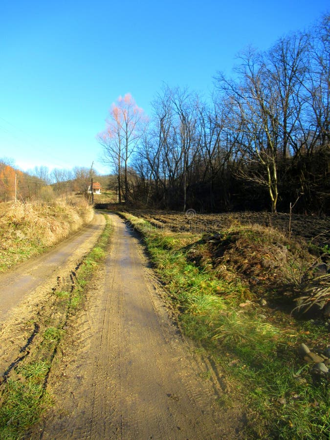 On the wild road stock photo. Image of road, beautiful - 116681136