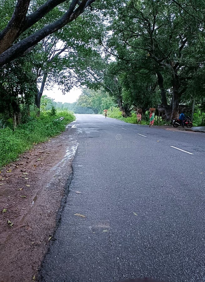 Wild road in forest stock image. Image of sidewalk, infrastructure ...