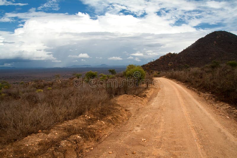 Wild Road Landscape stock photo. Image of green, scenery - 13135174