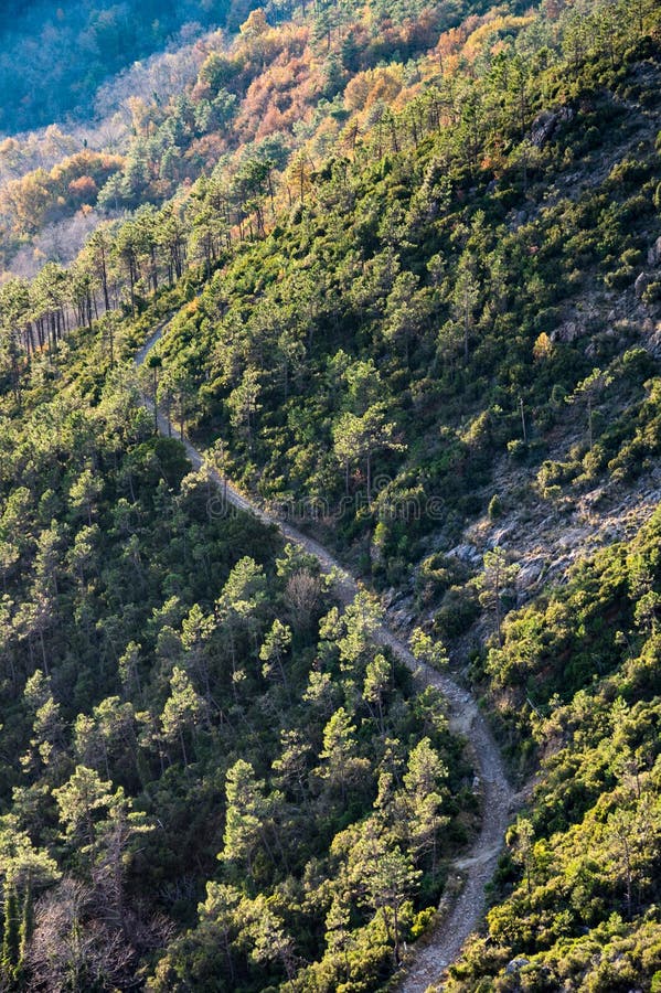 Wild road stock image. Image of brown, mountain, curve - 63991593