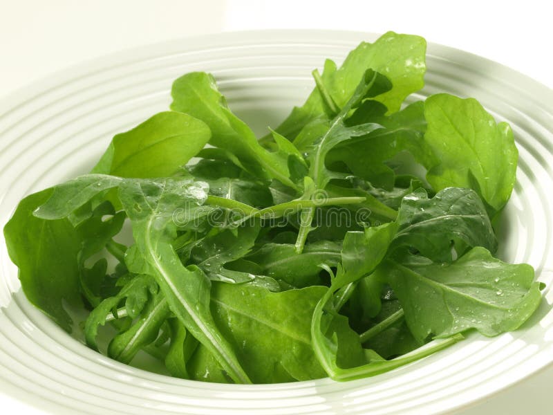 Wild rocket stock photo. Image of ingredient, leaves - 25199906