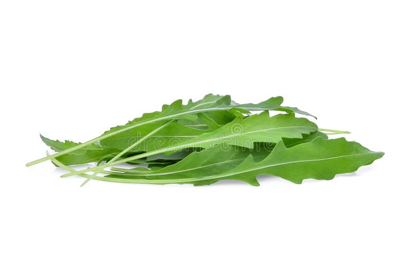 Wild Rocket Leaves Isolated on White Stock Image - Image of cuisine ...