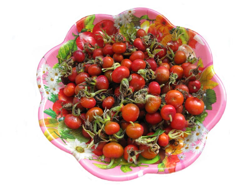Wild Rose Berries on the Plate Stock Image - Image of juicy, fruits ...