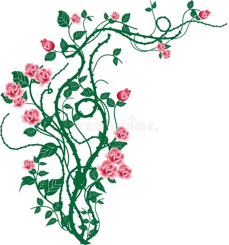 Horizontal Roses stock vector. Illustration of drawing - 2081155