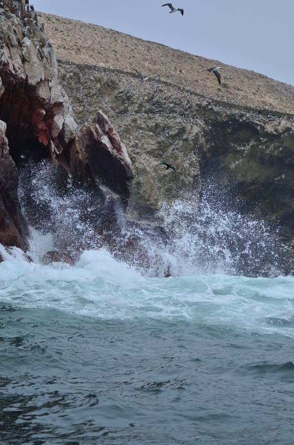 Wild sea stock image. Image of port, natural, exploring - 103835157
