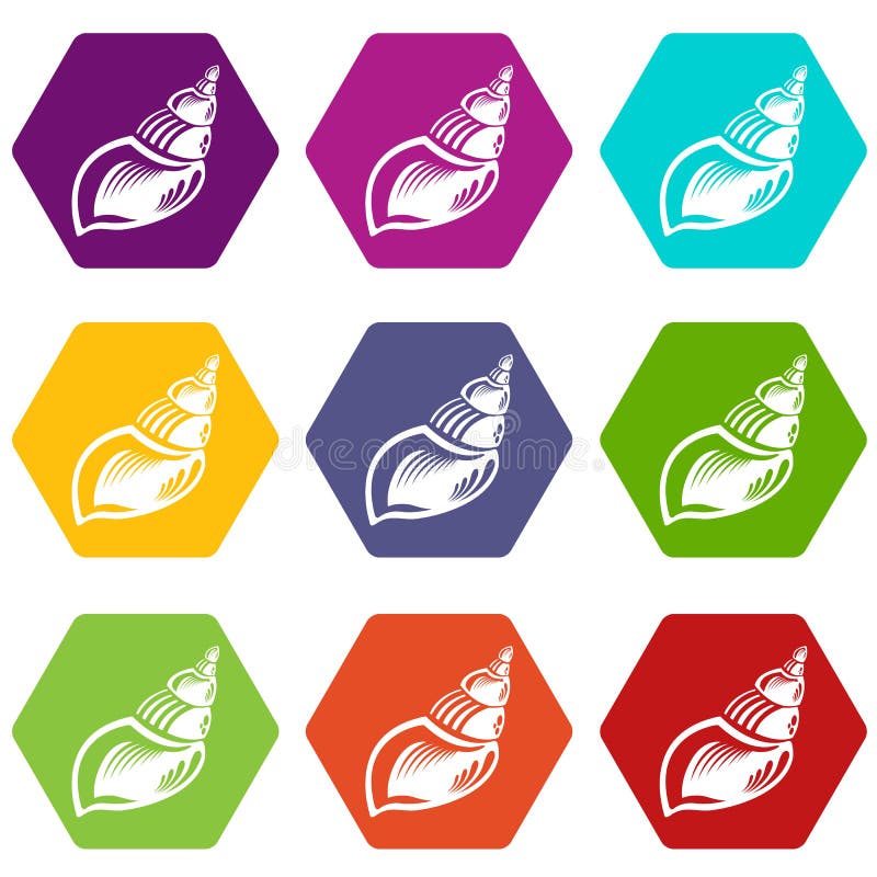 Wild Shell Icons Set 9 Color Collection Stock Vector - Illustration of ...