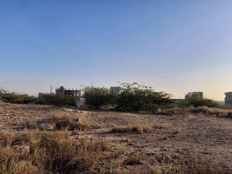 Wild Shot of Open Empty Field with Dry Grass Stock Image - Image of ...