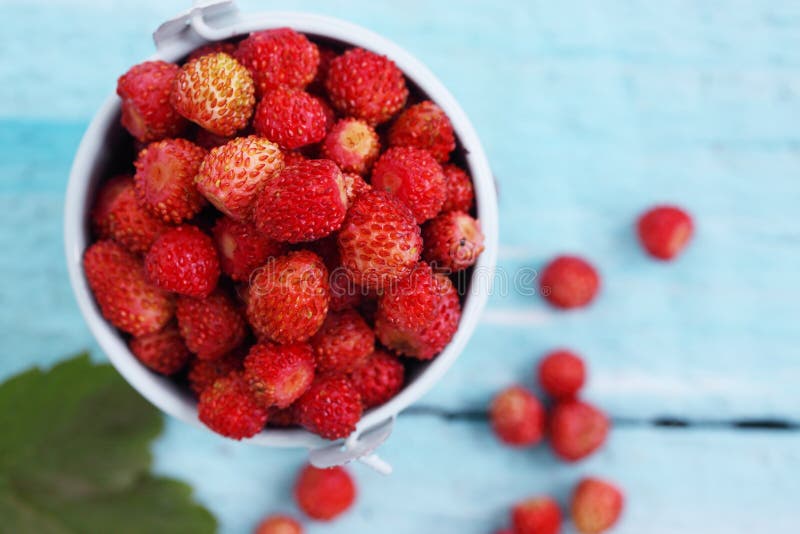 Wild Small Strawberry, Top View Stock Image - Image of closeup ...