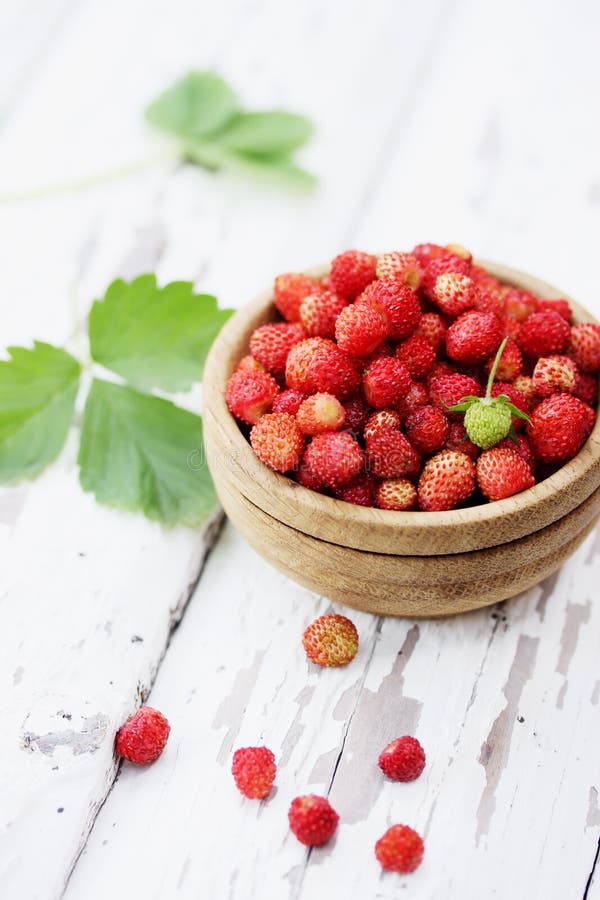 Wild Small Strawberry on a White Board Stock Photo - Image of nutrition ...