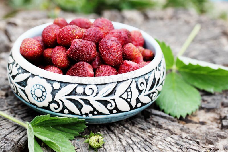 Wild Small Strawberry of the Woods Stock Image - Image of green, juicy ...