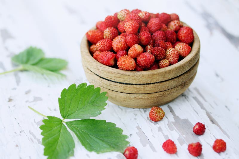 Wild Small Strawberry of the Woods on a White Board Stock Image - Image ...
