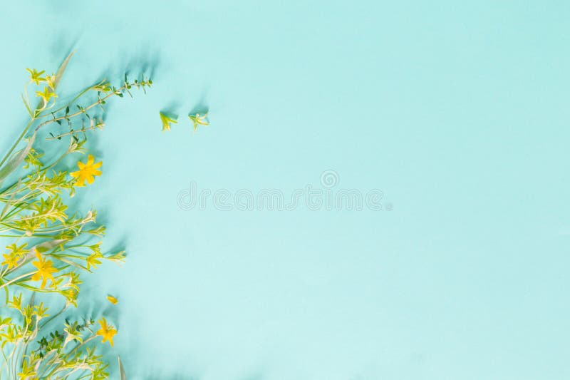 Wild Spring Flowers on Paper Background Stock Image - Image of ...